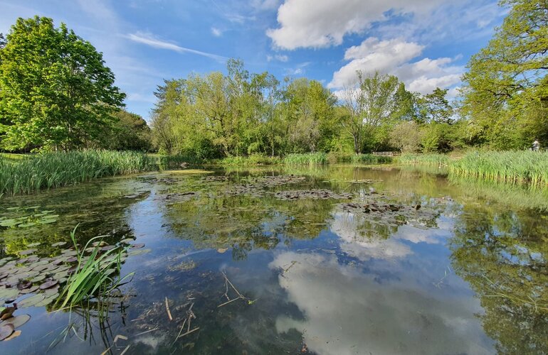 Agenda | Ville de Cesson